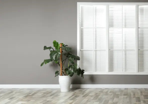 Transform Your Home with Custom-Made Blinds - Go Blinds